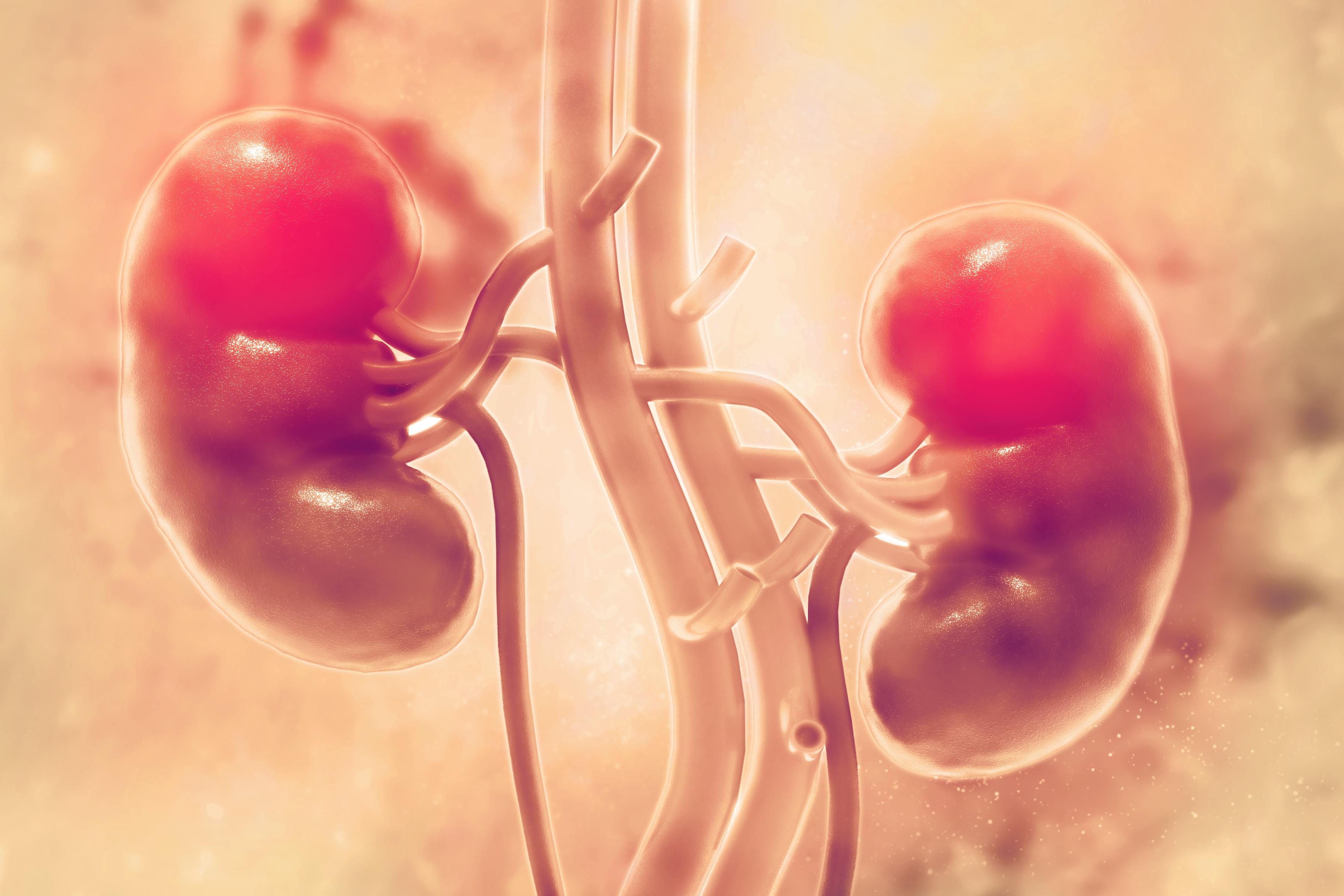 Kidney Cancer Kidney Cancer Symptoms MedlinePlus